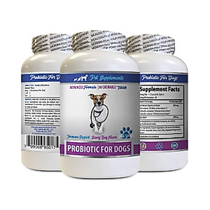 PET SUPPLEMENTS Dog Breath Treats - PROBIOTICS for Dogs - Healthy Gut - Stop Gas Diarrhea and Bad Breath - Digestive Boost - Dog probiotics and Digestive enzymes Bites - 1 Bottle (60 Treats)