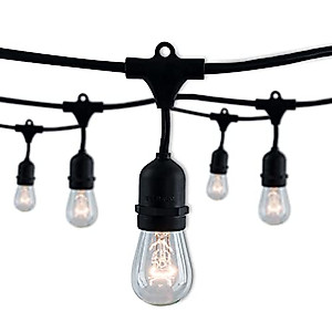Bulbrite 14 ft, 10-Socket Decorative Kit with Clear Incandescent STRING10/E26/BLACK-S14KT Indoor and Outdoor String Lights, Black
