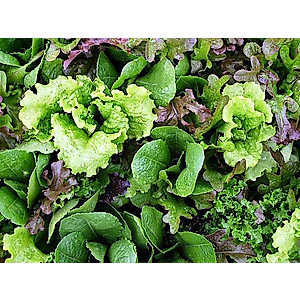 This is a Mix!!! 2000+ Seeds Microgreens Mix 40 Varieties - About 1 oz. - Superfood Seeds Heirloom Non-GMO Delicious Easy to Grow! from USA Fresh and Tested Seeds!