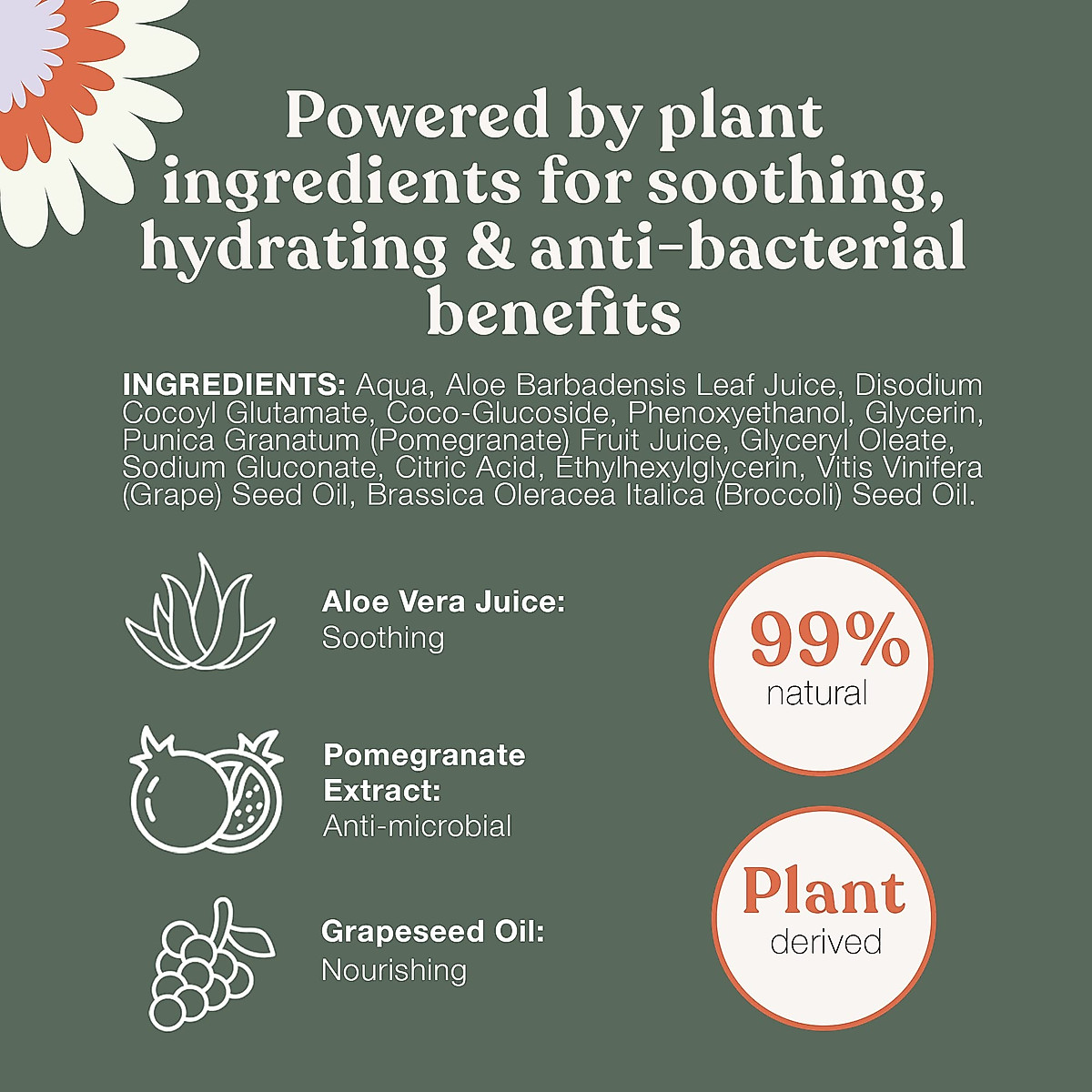 Dandylion Clean Paws | No-Rinse Foaming Cleanser | Gentle, Fragrance-Free, and pH Balanced to Provide a deep Clean Safe for All Dogs | 5fl oz. Bottle with Silicone Bristle Brush