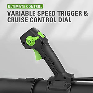 Greenworks 40V (165 MPH / 660 CFM / 75+ Compatible Tools) Cordless Brushless Backpack Leaf Blower, 8.0Ah Battery and Charger Included, Green