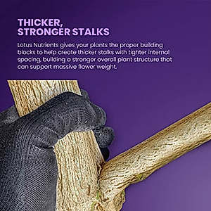 Lotus Nutrients Powdered Plant Nutrients Intro Pack: Grow, Bloom, Boost, and Cal/Mag - w/Nitrogen Calcium and Magnesium - for Hydroponics Coco Coir and Soil - Indoor and Outdoor Plants