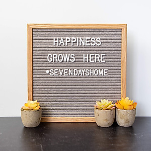 3 Piece Yellow Decor Artificial Succulent Plants in Grey Pots Realistic Greenery Mini Potted Faux Plant Arrangements for Home Decor Office Room Dorm Bathroom Restroom Kitchen Table Centerpieces