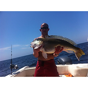 Deep Drop Bait Rig (Three Purple & Black Skirted 9/0 Circle Hook Drops) (9/0 3 Drop Purple Skirts)