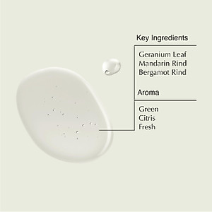 Aesop Geranium Leaf Body Cleanser and Shampoo | Paraben, Cruelty-free & Vegan | 16.9 oz