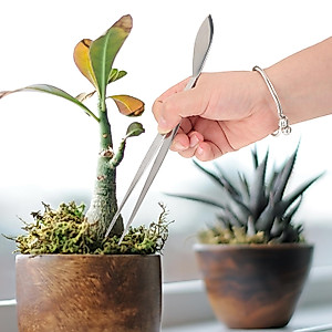 ibasenice Bonsai Long Tweezers,Stainless Steel Tweezer Crafting Tweezer Bonsai Tweezer Tool for Plants Moss Potted