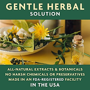 Vet Organics Hot Spot Spray for Dogs and Cats – EcoSpot 4 Oz. Natural Skin Soother Solution for Cat and Dog Allergy Support, Itch Relief, Rashes, and Raw Skin – Cat and Dog Health Supplies