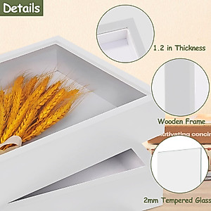 Shadow Box Frame Display Cases 8x10 - 3 Pack Deep Shadowbox Picture Frame with Galss 3D Display Wood Shadow Box Frame with Line Board