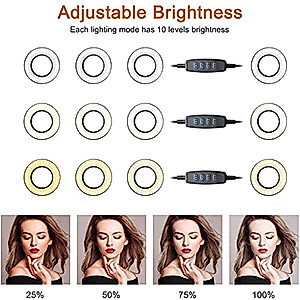 ZV-1 Digital Camera (Black) with Bluestone USB Dual Ring Light Deluxe Vlogging/Streaming Bundle. Includes: Wind Screen, SanDisk Extreme 64GB Card, 12” Gripster Tripod, & Much More.