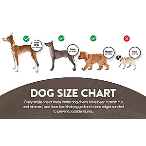 WhiteTail Naturals - Water Buffalo Horns for Dogs (Monster XX-L) All-Natural Dog Bone - Long Lasting Chew Toy for Aggressive Chewers and Teething Puppies