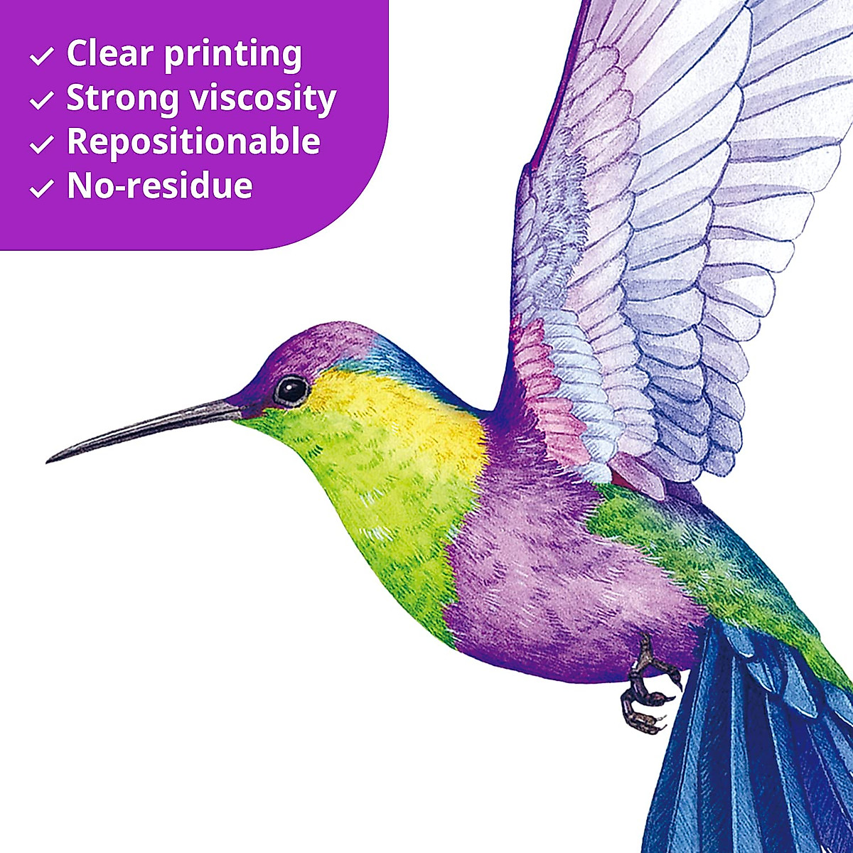 DECOWALL DS-8060 Tropical Flowers and Hummingbirds Wall Decals Stickers Room Bedroom Living décor Art Bird murals Removable Leaf Tree Vinyl Nursery Stick Window Home Peel DIY Kids Flying Decorations