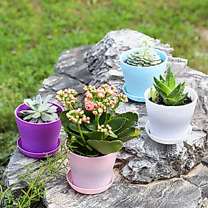 TDHDIKE 25 Pcs Plastic Planters Indoor Flower Plant Pots, Mini Flower Seedlings Nursery Pot with Pallet, Modern Decorative Gardening Containers (White, 25)