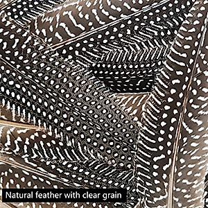 Natural Turkey Spotted Feathers, 30Pcs Pheasant Feathers Mardi Gras Feathers for Crafts DIY Hat Floral Arrangements Wing Quill Wedding Home Party Decorations 6-8 inch(3 Styles)