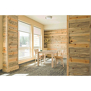 ProFlex Gray Vinyl Wall Base - 6 in X 20 ft Trim with Super Strong Peel and Stick Adhesive - Flexible Self Stick Vinyl - Easy Install Floor Base with Toe Kick