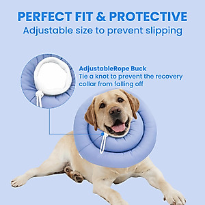 DURAGS Dog Cone for Medium Dogs, Comfortable Adjustable Soft Dog Cone Replacement After Surgery，Suitable for Small and Medium Sized Dogs (Blue, L)