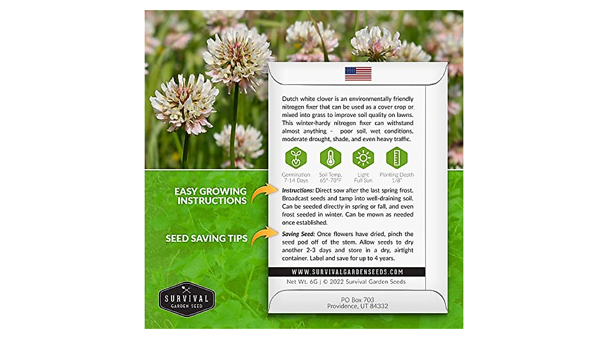 Dutch White Clover Seeds for Ground Cover & Soil Health | Survival Garden