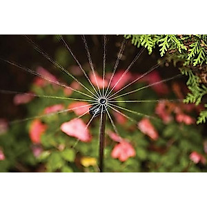 Rain Bird MSF2PKS Drip Irrigation 10-32 Threaded Micro-Spray Nozzle, 360° Full Circle Pattern, 0 - 10' Spray Distance, 2-Pack