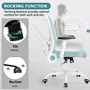 Primy Office Chair Ergonomic Computer Desk Chair, High Back Breathable Mesh Chair with Adjustable Lumbar Support 2D Armrests, Executive Rolling Swivel Comfy Task Chair with Wheels for Home Work Gaming