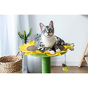 Catry Cat Tree – Nature Looking of Cat beds and Furniture All-in-1, Allure Cats Love to Lounge in and Lazily Recline While Playing with Cute Bees Toys and Scratching Post, Adjustable Sunflower