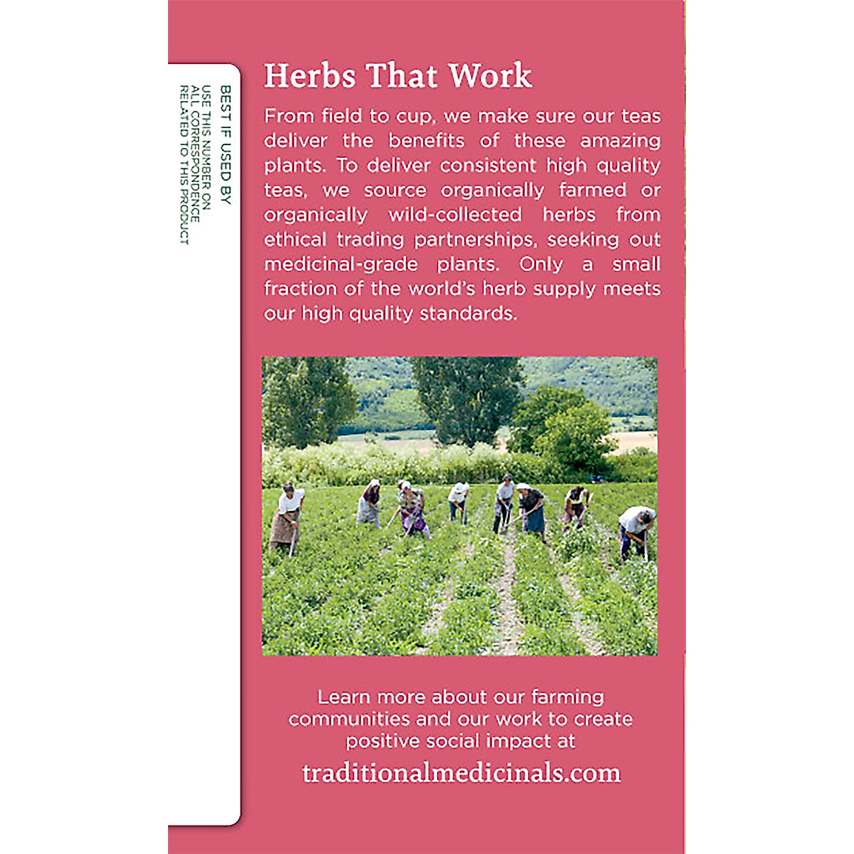 Traditional Medicinals Organic Pregnancy Tea Raspberry Leaf Herbal Tea, Supports Healthy Pregnancy, (Pack of 3) - 48 Tea Bags Total