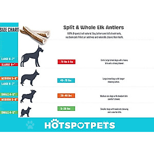 hotspot pets Split Elk Antlers for Dogs X-Large 8+ Inches- Premium Elk Antlers for Dogs 50+Lbs (2 Pack) Naturally Shed Antler Bone for Large Breed Aggressive Chewers -Sourced in USA