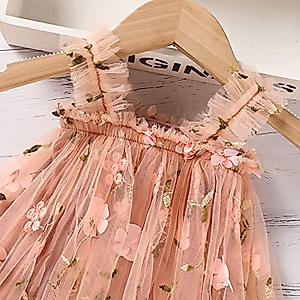 Toddler Baby Girls Tutu Dress Sleeveless Floral Print Layered Tulle Dress Little Girl Princess Dresses with Flower Headband (Pink, 6-12 M)