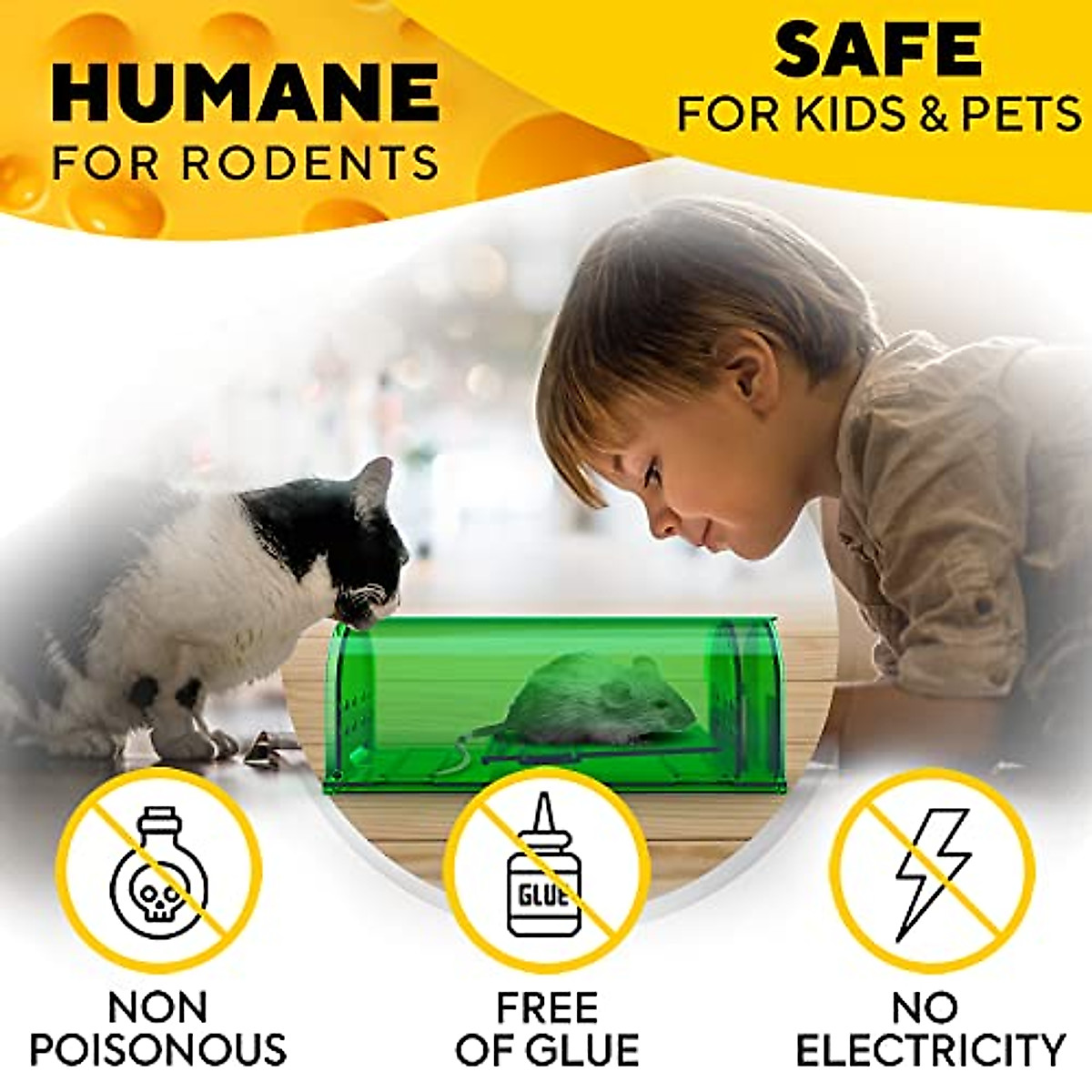 Humane Catch and Release Indoor/Outdoor Mouse Traps Pack of 2 - Easy Set Durable Traps, Safe for Children, Pets and Humans - Instantly Remove Unwanted Vermin from Your Home