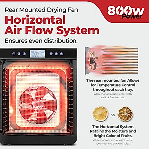 Magic Mill Food Dehydrator Machine (10 Stainless Steel Trays) Digital Adjustable Timer | Temperature Control | Keep Warm Function | Dryer for Jerky, Herb, Meat, Beef, Fruit and To Dry Vegetables