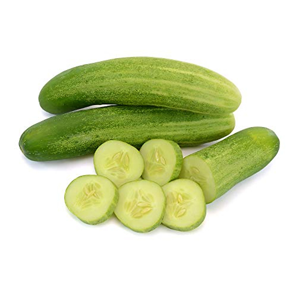 Carolina Cucumber Seeds for Planting, 100+ Heirloom Seeds Per Packet, (Isla's Garden Seeds), Non GMO Seeds, Botanical Name: Cucumis sativus, Great Home Garden Gift
