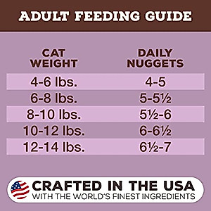 Primal Freeze Dried Cat Food Nuggets Turkey, Complete & Balanced Scoop & Serve Healthy Grain Free Raw Cat Food, Crafted in The USA (14 oz)