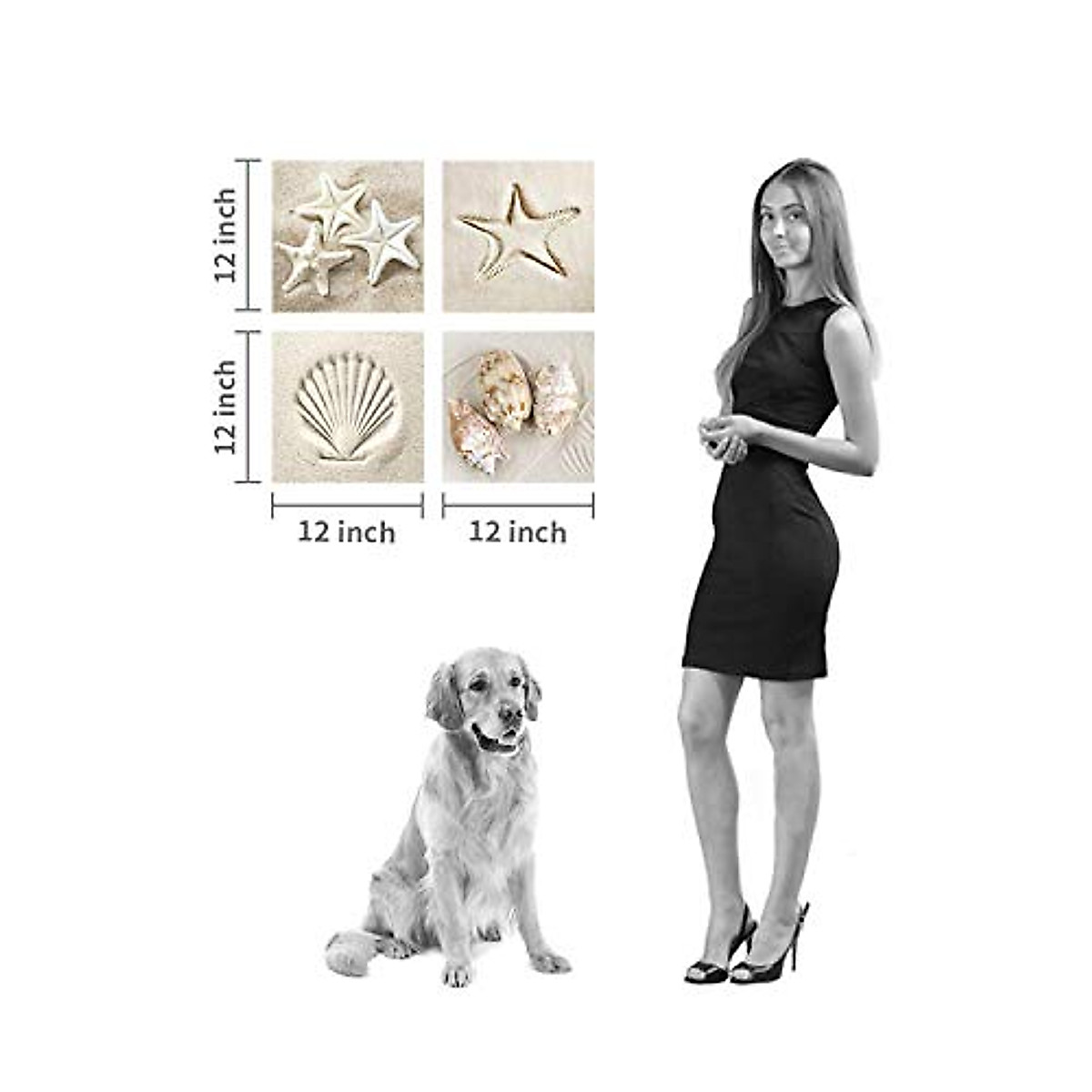 Coastal Serene Canvas Wall Art: Shells on Beach Sand Giclee Print Painting for Wall Decor for SPA Room (12''x12''x4pcs)