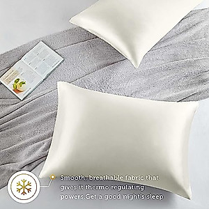 HYDE LANE 25 Momme 100% Pure Mulberry Silk Pillowcase for Hair and Skin with Hidden Zipper, Both Side Grade 6A Silk, Luxury Smooth and Soft,Real Silk Pillow Case, 1pc Queen 20''x30'',Ivory White