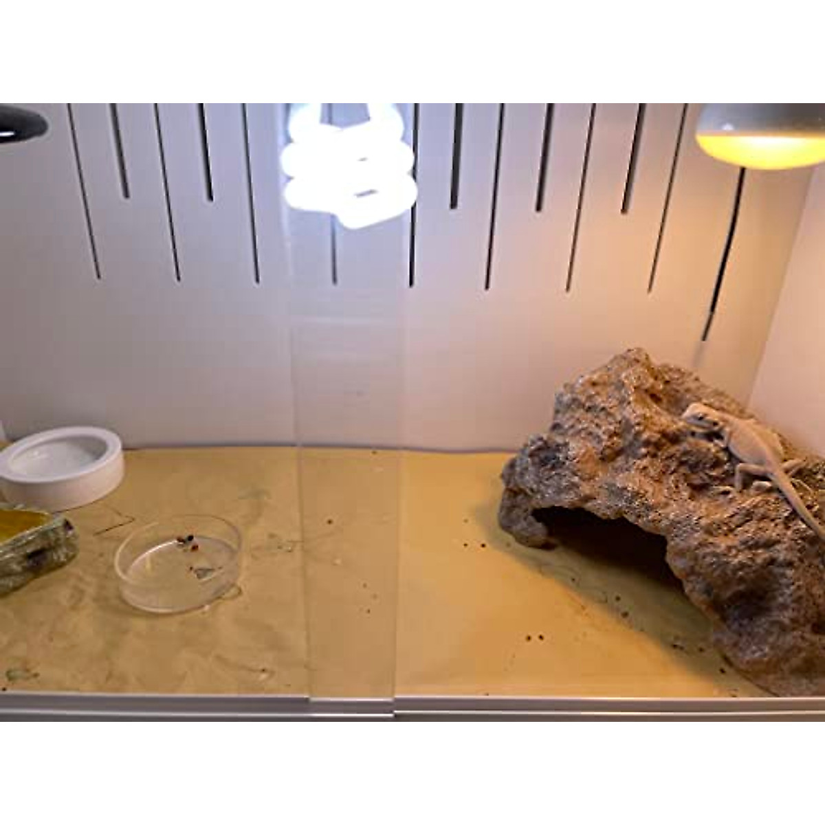 Flushbay Reptile Rock Hide Cave Resin Large Reptile Hideouts Habitat Cave Terrarium Decorations for Bearded Dragon Lizards Geckos Leopard Chameleons Frogs Turtles Snakes