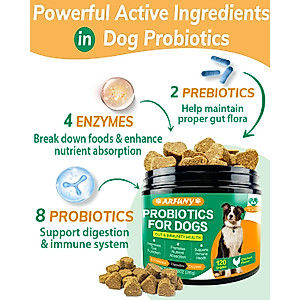 Probiotics Chews for Dogs with Prebiotic & Digestive Enzymes,Support Gut Health, Digestion, Immunity, Relief Seasonal Allergies, Diarrhea, Constipation (Chicken Flavor / 120 Chews)