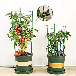 4 Pack Garden Plant Support Tomato Cage, Upgrade 18" Trellis for Climbing Plants, Plant Trellis Kits with 4 Self Watering Spikes and 20 Plant Clips (18")