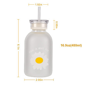 ASTROWORLD WISH YOU WERE HERE 16.9oz(480ml) Milk Juice Water Bottle with Scale,2 Lids and 2 straws Little daisy Matte Portable glass Water Cup, One Flower Grass Bottles Creative Handy Cup