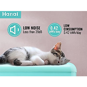 WANAI Compact Refrigerator 3.2 Cu.Ft Classic Retro Refrigerator 2 Door Mini Refrigerator Adjustable Remove Glass Shelves Refrigerator Suitable for Dorm Garage and Office