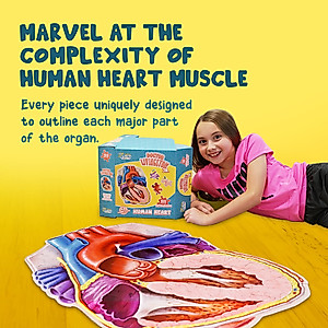Human Heart Anatomy Floor Puzzle — Genius Games Doctor Livingston Jr Anatomy Toy - Kids Puzzles & Science Toys - Human Heart Anatomy Model - 100 Piece Jigsaw Puzzles for Kids, Toddlers, Teens