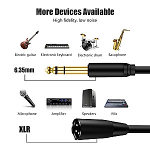 belipro 1/4 Inch TRS to XLR Cable 10Ft 2pack, 6.35mm Male to XLR 3 pin Male Balanced Cable,for Microphone, Audio Mixer, Speaker, Studio and More