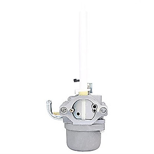 HOOAI 796122 Carburetor for Briggs & Stratton 794593 696737 793161 Ariens MTD Cub Cadet Snowblower Snowthrower Tractor Carburetor