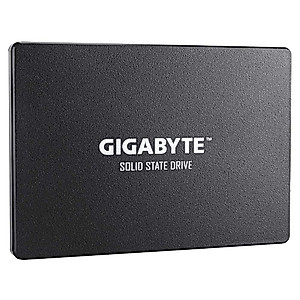 GIGABYTE SSD 1TBB NAND Flash SATA III 2.5" Internal Solid State Drive (GP-GSTFS31100TNTD)