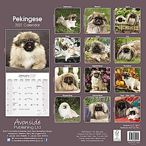 Pekingese Calendar - Dog Breed Calendars - 2020 - 2021 wall calendars - 16 Month by Avonside