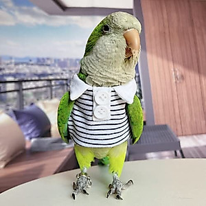 Bird Costume Bird Diaper Flight Suit Bird Summer Clothes Cosplay Photo Prop for Parrots Lovebird Parakeet Cockatiel Small Animals Apparel (Without Diaper,Budgie)