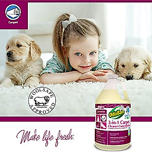OdoBan Professional Series Cleaning 3-in-1 Carpet Cleaner Concentrate, 1 Gallon & Professional Cleaning Ready-to-Use BioStain and Odor Remover, 1 Gallon