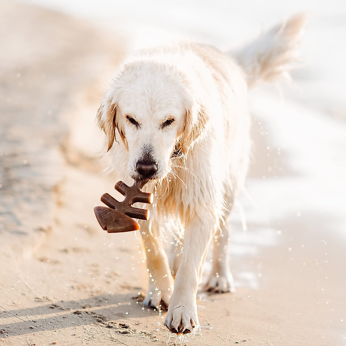 Benebone Fishbone Durable Dog Chew Toy for Aggressive Chewers, Real Fish, Made in USA, Large