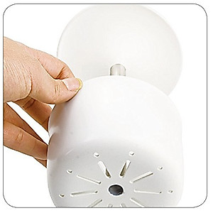 NOVART XXL Herb Keeper and Herb Saver – Glass Storage Container for Cilantro, Mint, Parsley, Asparagus, Keeps Greens Fresh for 2-3 Weeks