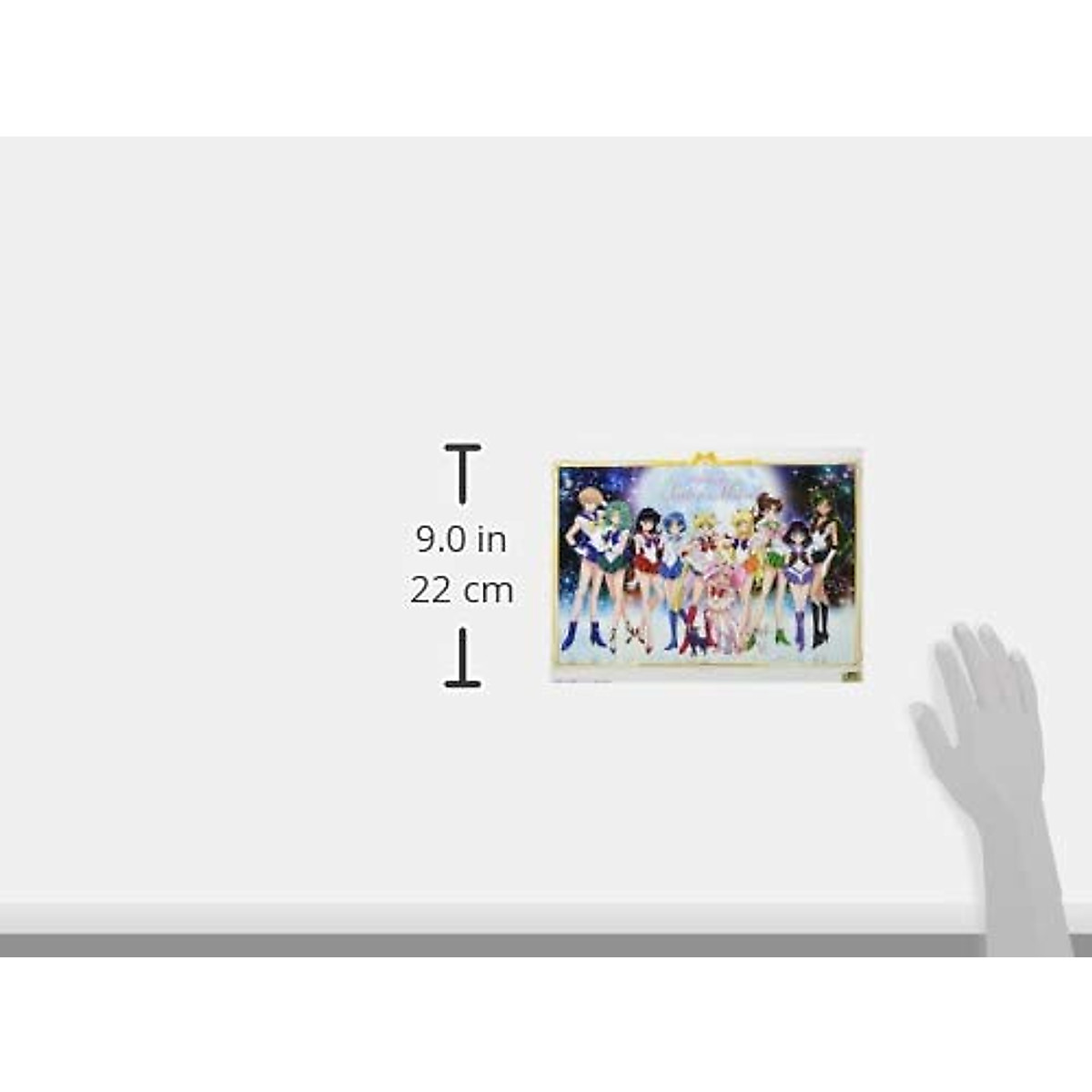 1000 piece jigsaw puzzle-Bishoujo senshi Sailor Moon sailor dress sailor (50x75cm)