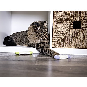 SmartyKat (3 Count) Fish Flop Crinkle Catnip Cat Toys - Multi Color, 3 Count