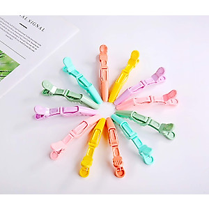 HH&LL Hair clips for Styling 12 pcs – Wide Teeth & Double-Hinged Design – Alligator Styling Sectioning Clips of Professional Hair Salon Quality (Colorful)