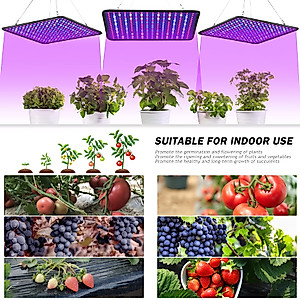 SERWING Grow Light for Indoor Plants 200W LED Plant Growing Lamp for Indoor Cultivation, Greenhouse, Grow Tent, Hydroponics (Full Spectrum)